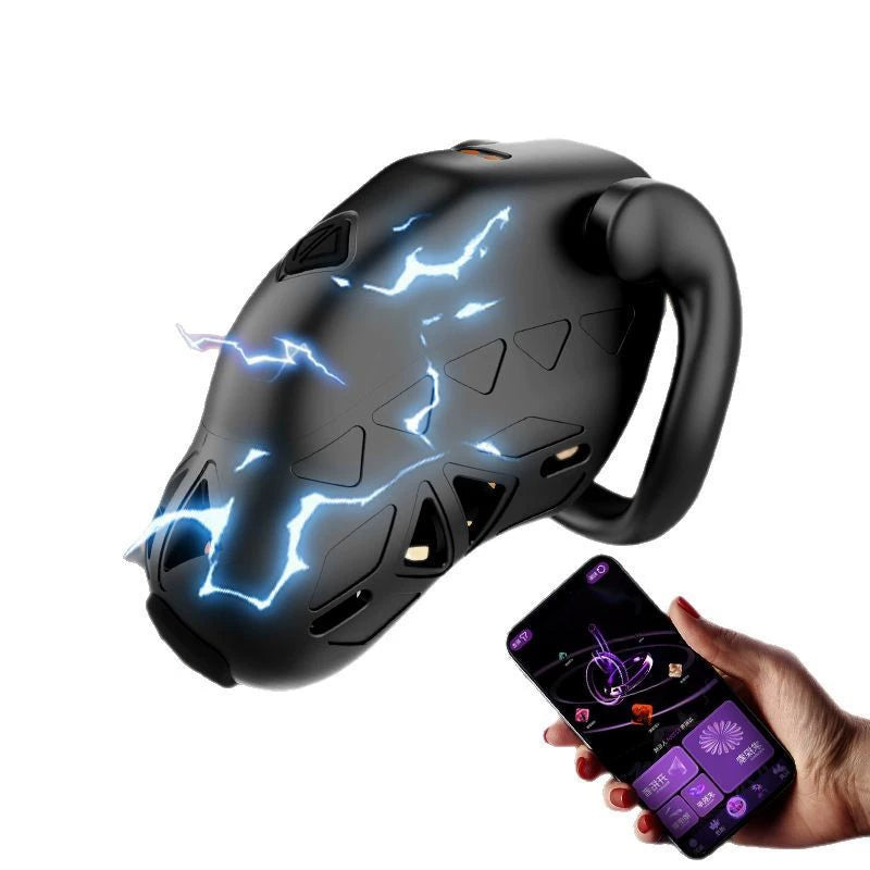 Lockink Electric Shock Cage App Smart Chastity Cage Remotely – honeysx